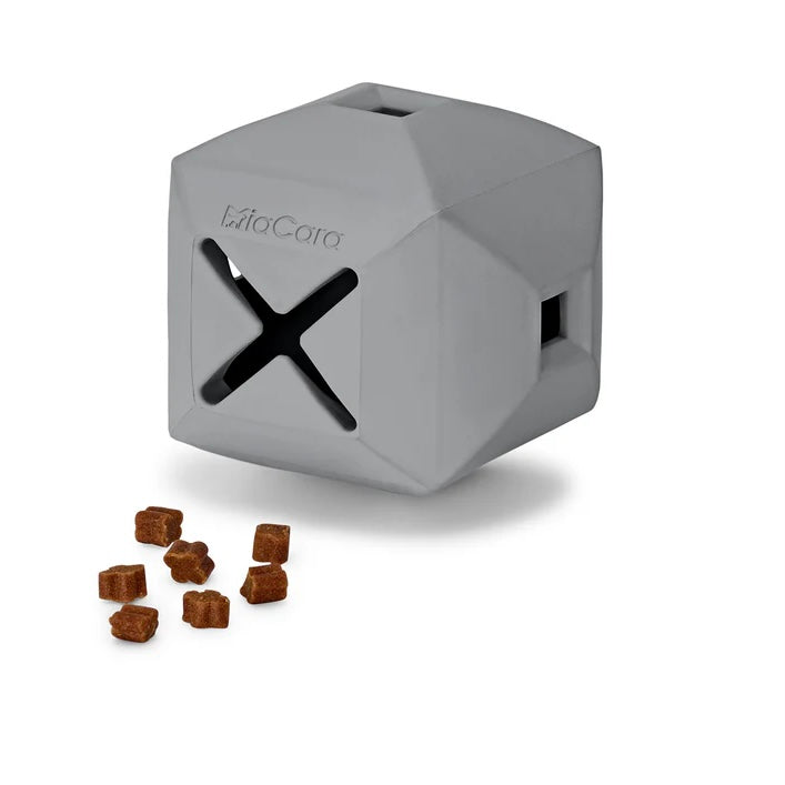 Dado activity toy slate – D O G E S T